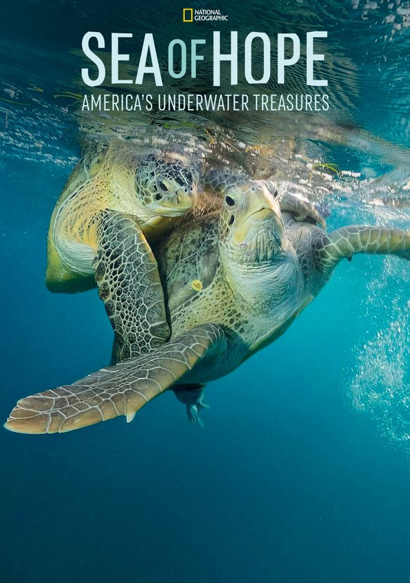Sea of Hope: America's Underwater Treasures(Sea of Hope: America's ...